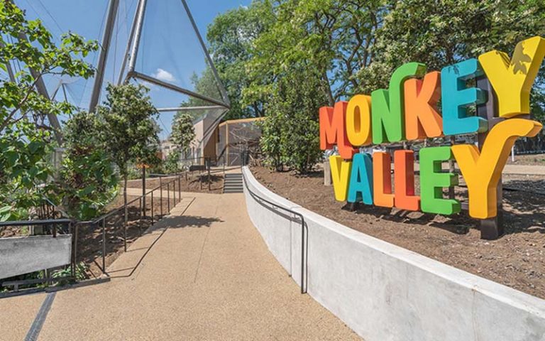 ZSL London Zoo - Things to Know Before Visiting the Famous Zoo