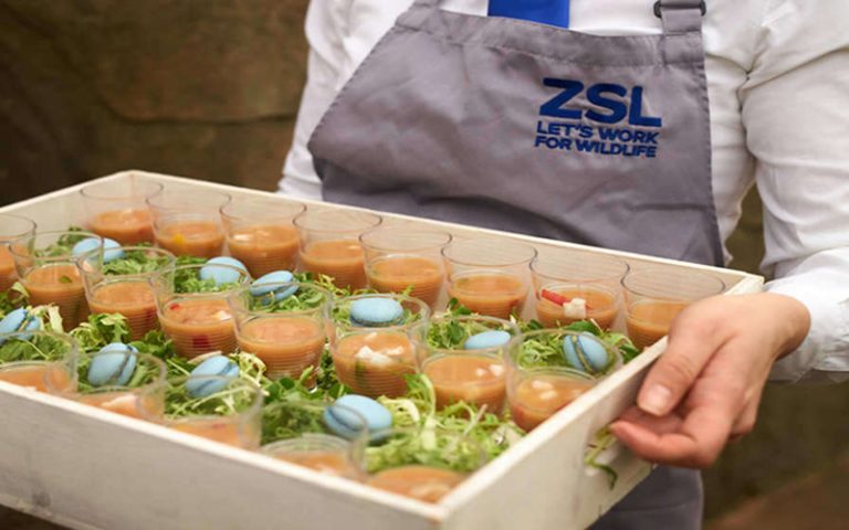 ZSL London Zoo - Things to Know Before Visiting the Famous Zoo